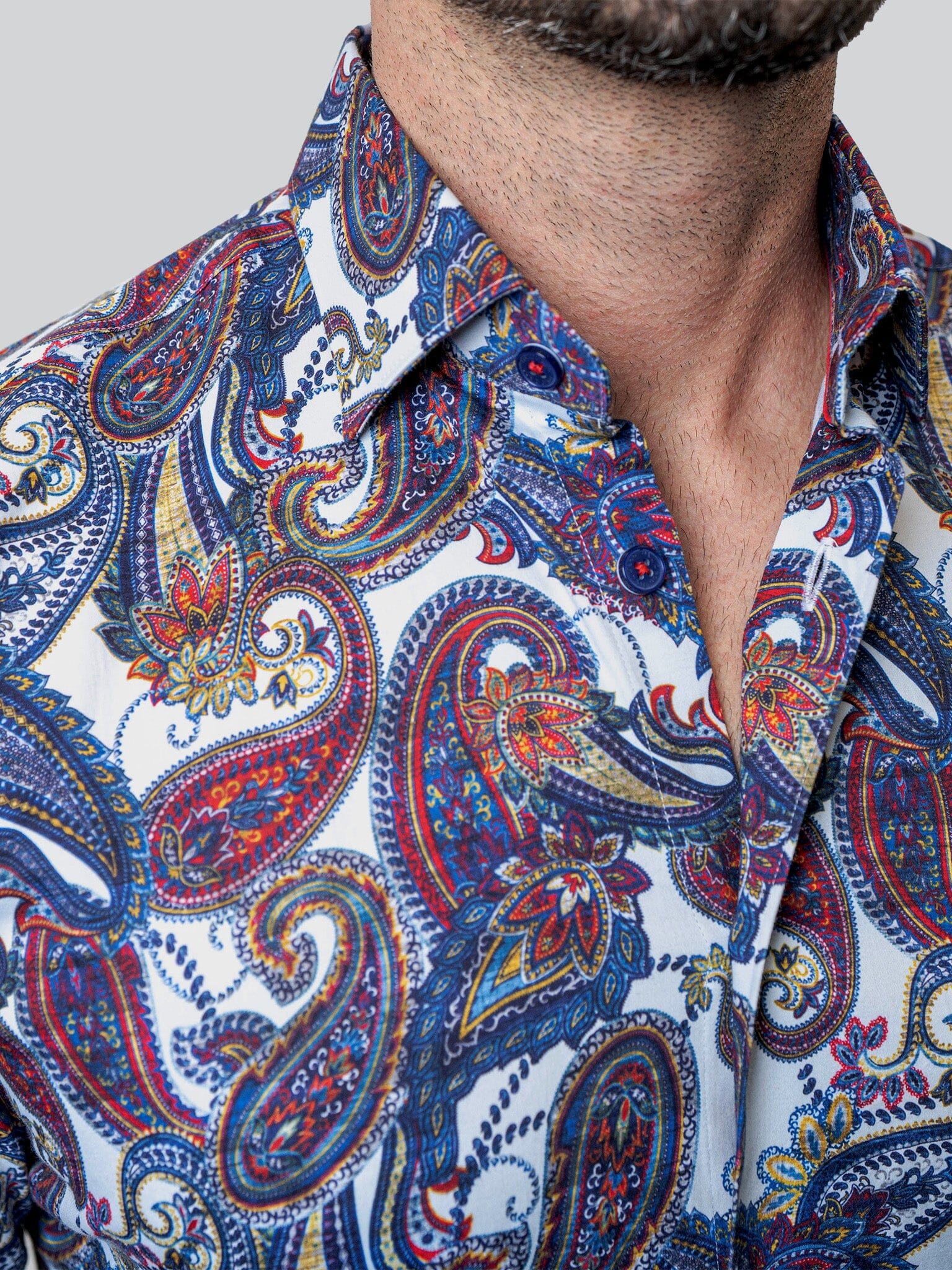 Fibonacci Bold Paisley Multi – Maceoo